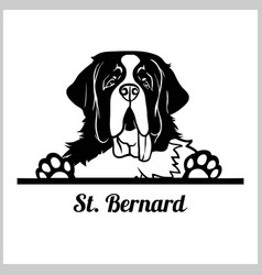 Saint Bernard Face Vector Images (54)