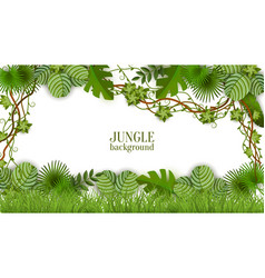 Jungle Leaves Cartoon Background Vector Images (over 5,100)