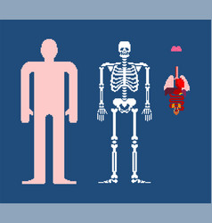 Skeleton pixel art skull and bones anatomy 8 bit Vector Image
