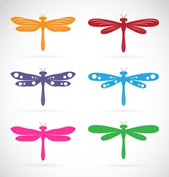 Dragonfly Royalty Free Vector Image - VectorStock