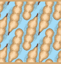 Seamless pattern ripe tamarind in cross section Vector Image