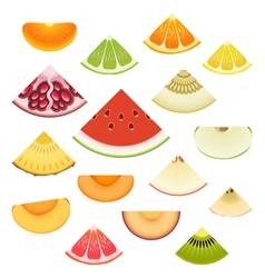 Fruit Slice Set Royalty Free Vector Image - VectorStock