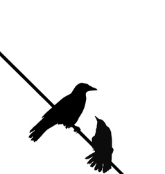 Birds on a Wire Vector Images (over 1,400)