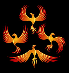 Fire phoenix design template Royalty Free Vector Image