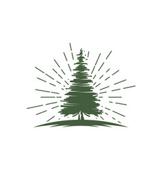 Cedar tree icon Royalty Free Vector Image - VectorStock
