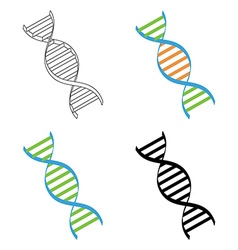 Curved Dna Strand Vector Images (over 1,300)