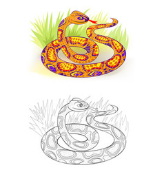 Cartoon python Royalty Free Vector Image - VectorStock