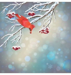 Christmas holidays frame card with decorations Vector Image