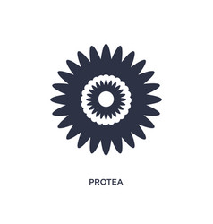 Protea Vector Images (over 810)