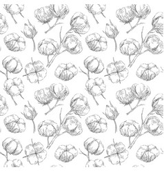 Cotton plant floral seamless pattern nature Vector Image
