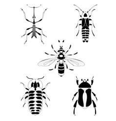 Insect Vector Images (over 110,000)