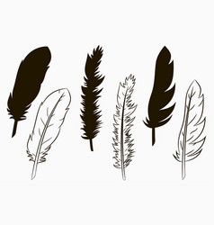 Hand drawn feathers Royalty Free Vector Image - VectorStock