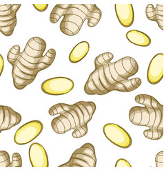 Ginger stylized root and pieces Royalty Free Vector Image