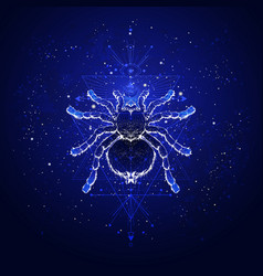 With hand drawn spider and sacred geometric Vector Image