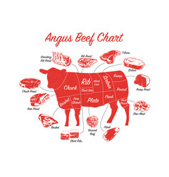 Angus beef chart Royalty Free Vector Image - VectorStock