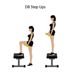 Step Up Exercise Vector Images (over 310)