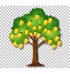 Mango tree on transparent background Royalty Free Vector