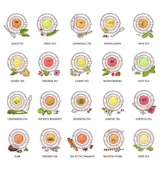 Types tea - cup and teapot drawing set isolated Vector Image