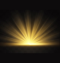 Light glow and shimmer highlight effect star Vector Image