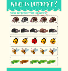 Insect math number worksheet Royalty Free Vector Image