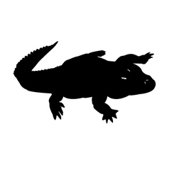 Alligator Vector Images (over 6,100)