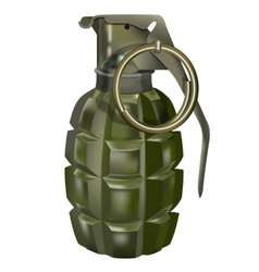 Hand grenade Royalty Free Vector Image - VectorStock