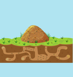 Anthill Vector Images (over 600)
