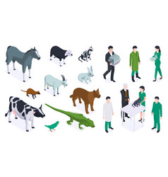 Cow veterinary icon grunge watermark Royalty Free Vector