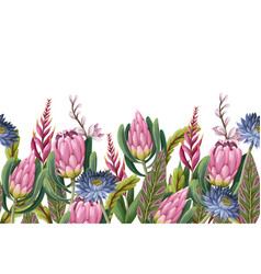 Border with proteas flowers trendy floral Vector Image