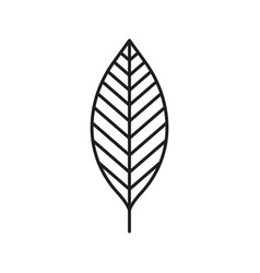 Leaf Walnut Vector Images (over 1,700)