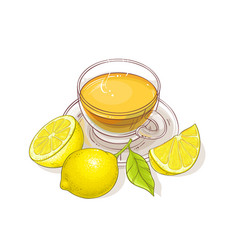 Lemon tea Royalty Free Vector Image - VectorStock