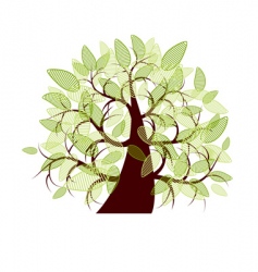 Spring tree green with birds for your design Vector Image