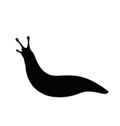 Black silhouette slug cartoon animal design flat Vector Image