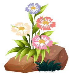 Hand holding colorful flowers on white background Vector Image