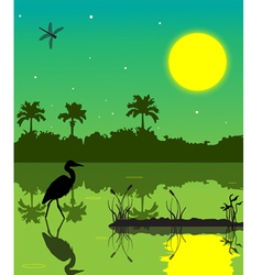 Florida Everglades Vector Images (34)
