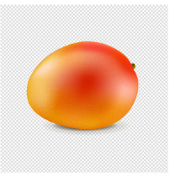 Orange mango border with paint transparent Vector Image