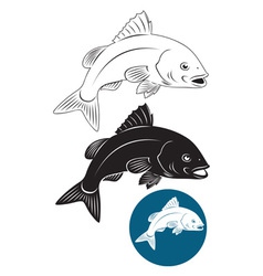 Snapper Vector Images (over 630)