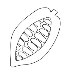 Cocoa bean outline icon Royalty Free Vector Image