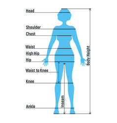 Female Body Measurement Chart Vector Images (92)