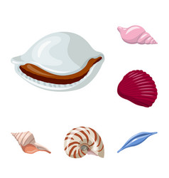 Ocean cockleshells cartoon sea shells Royalty Free Vector