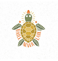 Turtle cartoon Royalty Free Vector Image - VectorStock