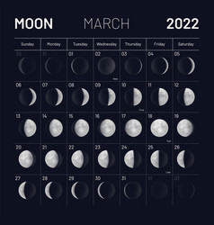Moon phases calendar Royalty Free Vector Image