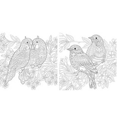 Spring birds coloring page Royalty Free Vector Image