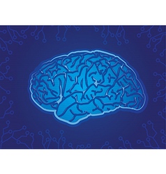 Motherboard brain Royalty Free Vector Image - VectorStock