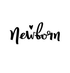 Handwritten lettering word newborn isolated on Vector Image