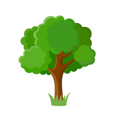Cartoon tree Royalty Free Vector Image - VectorStock