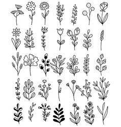 0112 hand drawn flowers doodle Royalty Free Vector Image