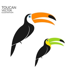 Toucan Royalty Free Vector Image - VectorStock