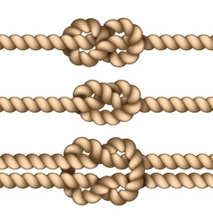 Noose rope Royalty Free Vector Image - VectorStock