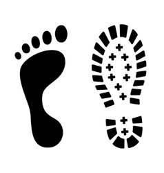 Foot Royalty Free Vector Image - VectorStock